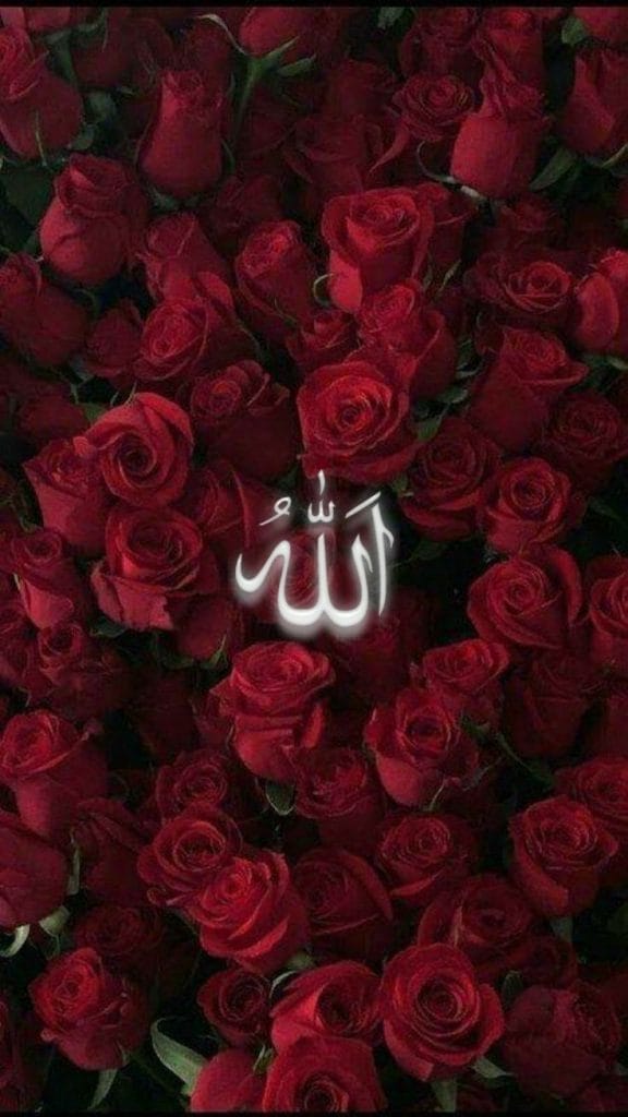30+ Best Allah Photos, Images, DP, Pics and Wallpapers 2026