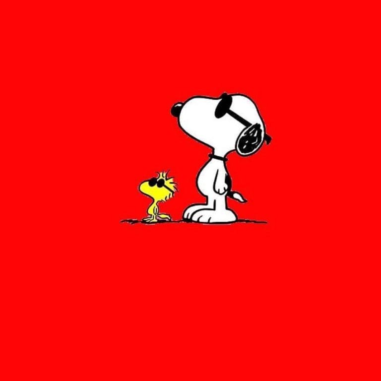 150+ Best Snoopy Pfp , Dp, Images,Pic & Wallpaper (2025)