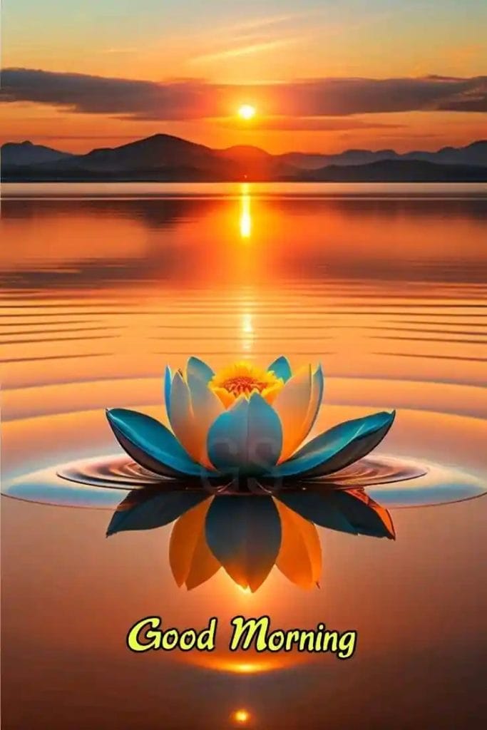 Good Morning Images, Pics, Photos, Pictures & Wishes 2026