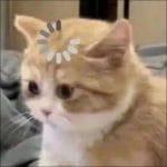 30+ Goofy Ahh PFP, Meme, Pictures, Funny, and Wallpapers